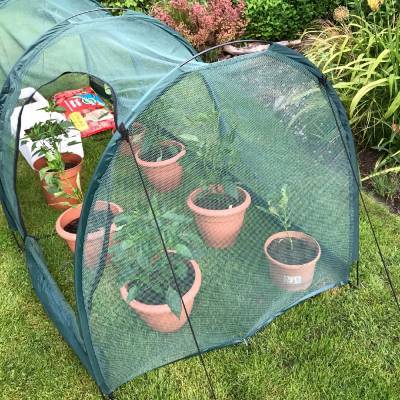 Hen Den Chicken Run Tunnel & Pet House - 2m - Garden Wildlife