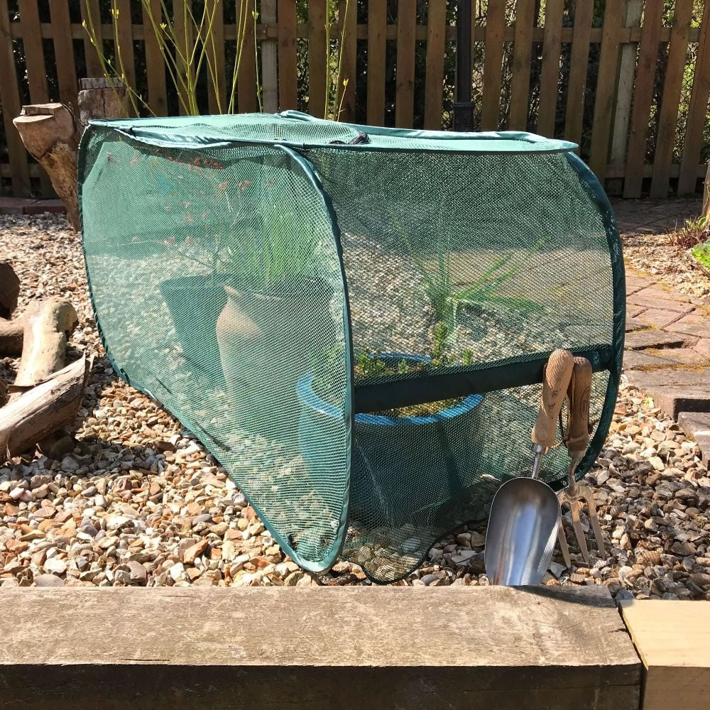 Pop-Up Garden Plant Cover for Pots, Planters & Grow Bag Crops - Garden ...