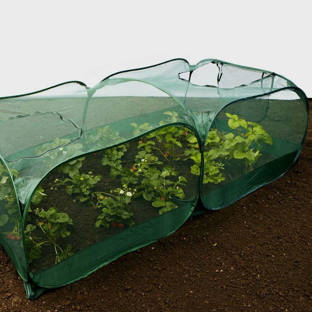 Giant Pop Up Fruit Cage & Plant Protection Cover - Garden Wildlife