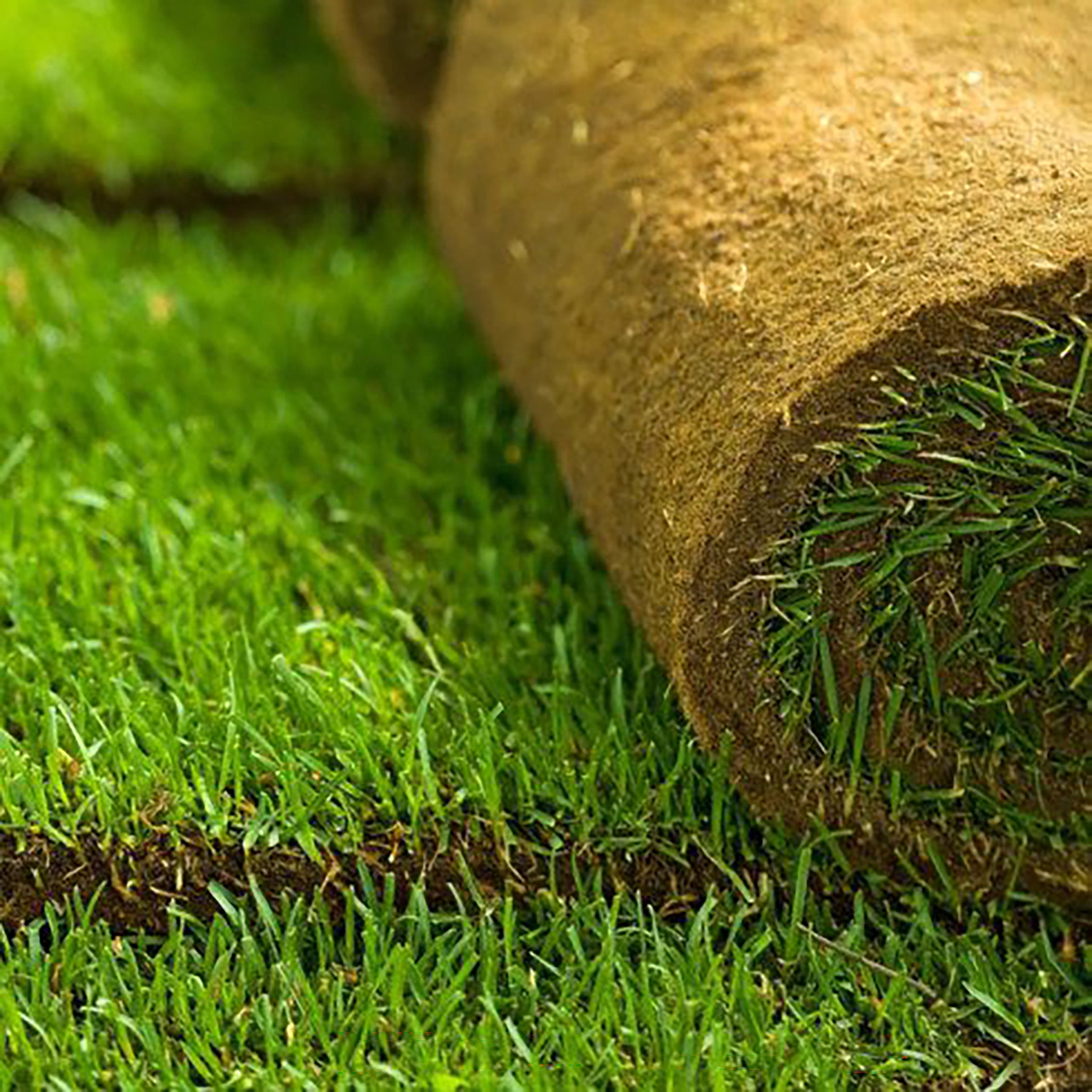 Hallstone Turf for UK Gardens, Easy to Lay, Wildlife Friendly Grass