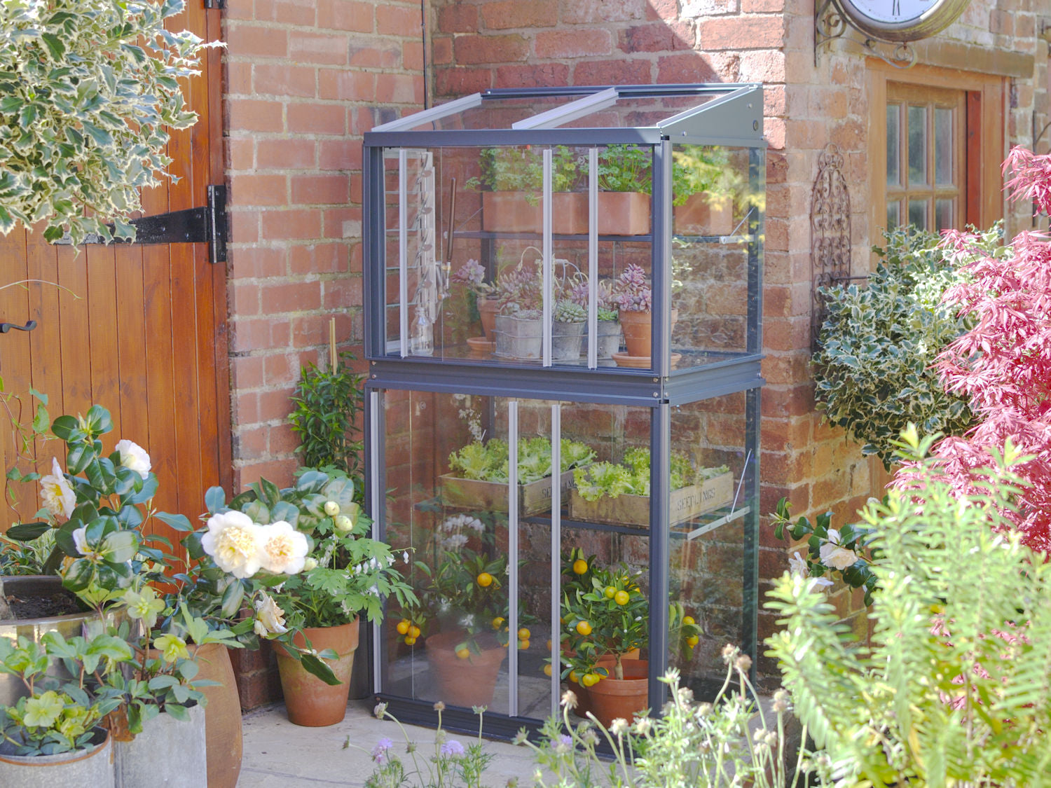 Access City Growhouse - Garden Wildlife
