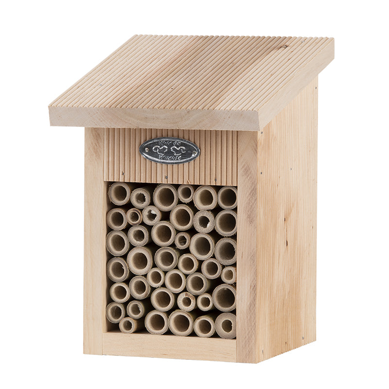 Bee House in Giftbox