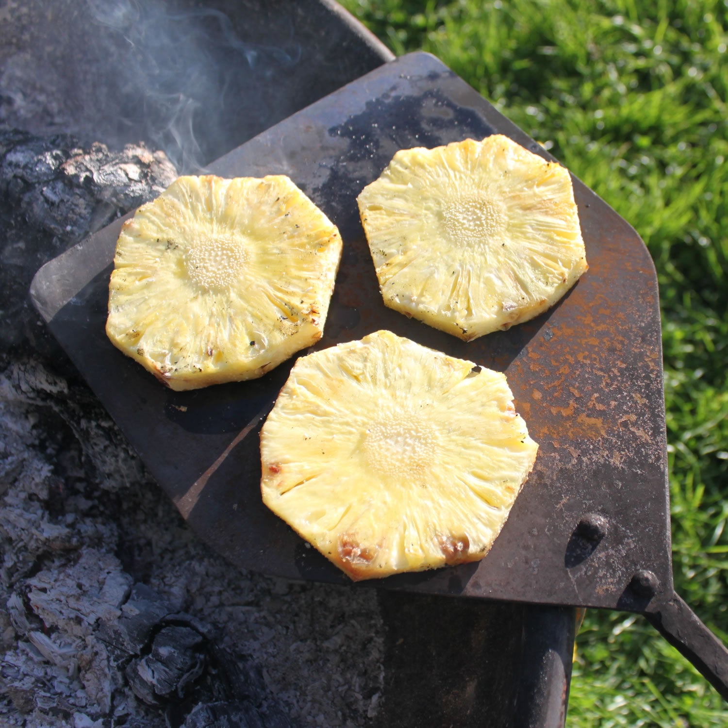 Firepits UK Fire Pit Paddle - Garden Wildlife