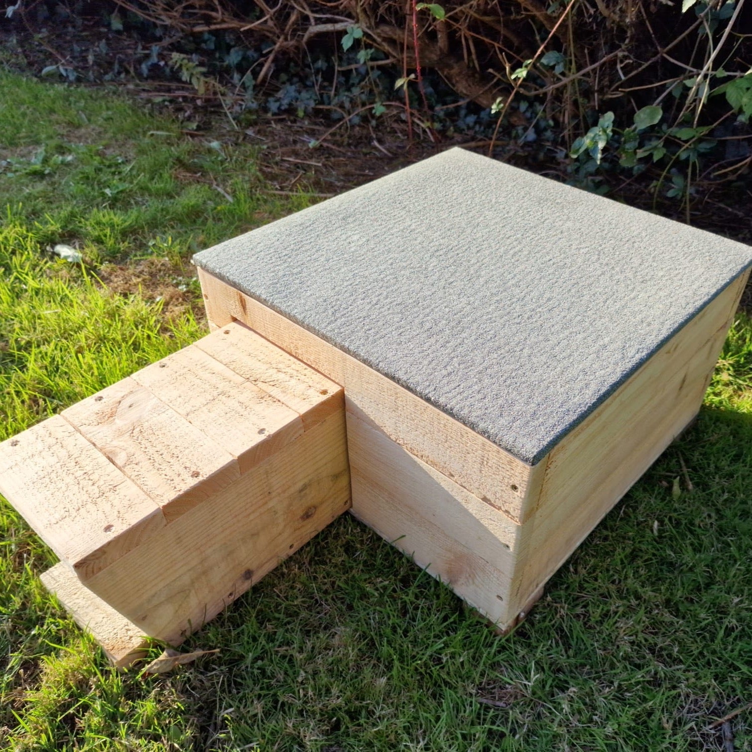 Henry The Hedgehog Box