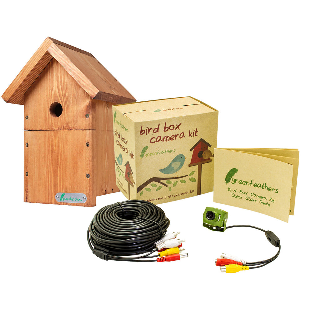 Green Feathers DIY Bird Box with Wired Camera Bundle | Garden Wildlife