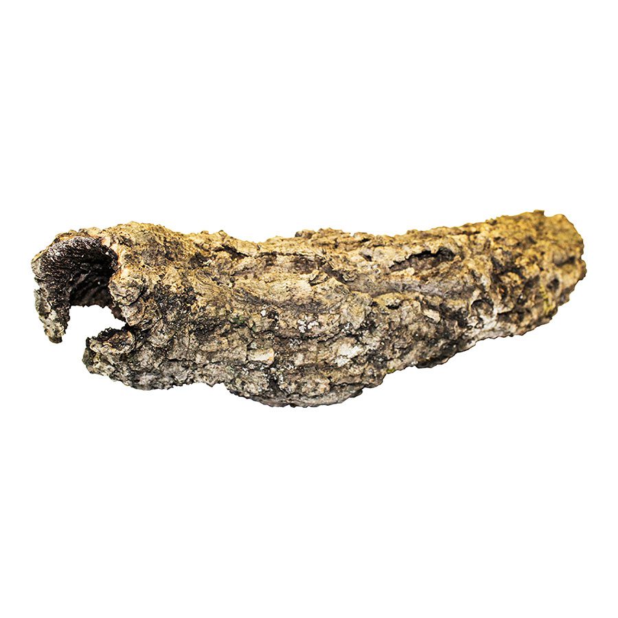 ProRep Cork Bark Tubes - Garden Wildlife