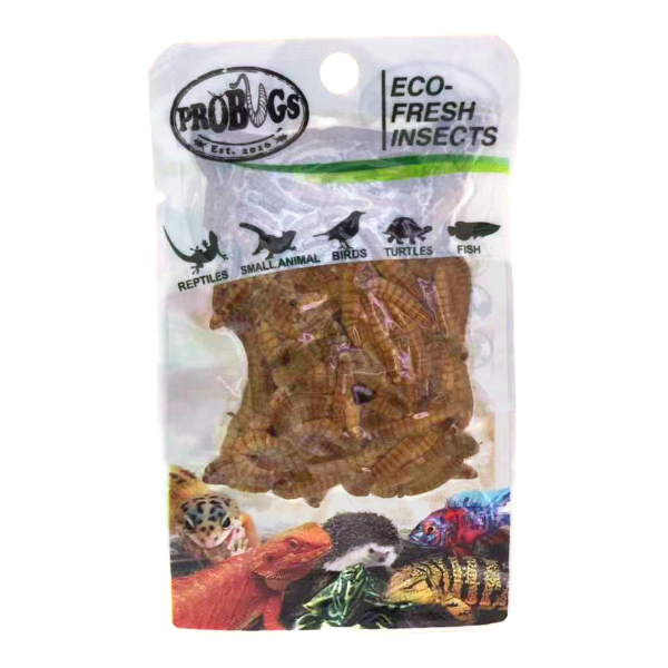 ProBugs Eco Fresh Mealworm 20g - 10 Packs | Garden Wildlife