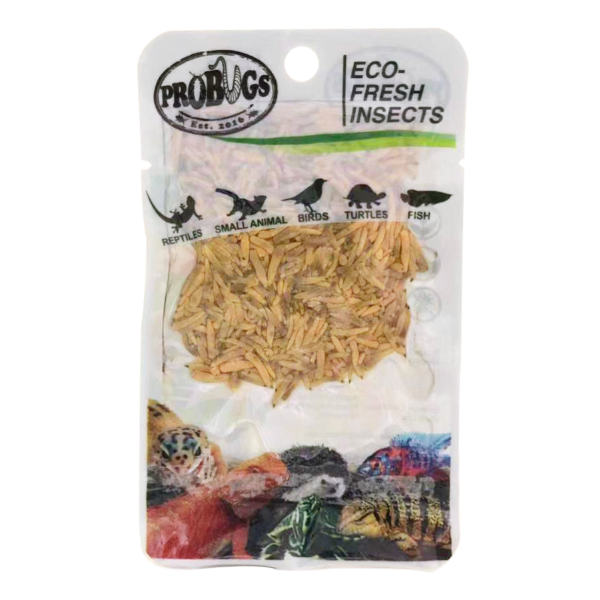 ProBugs Eco Fresh Riceworm 15g - 10 Packs - Garden Wildlife