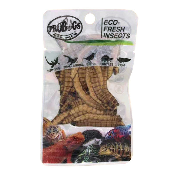ProBugs Eco Fresh Superworm 20g - 10 Packs - Garden Wildlife