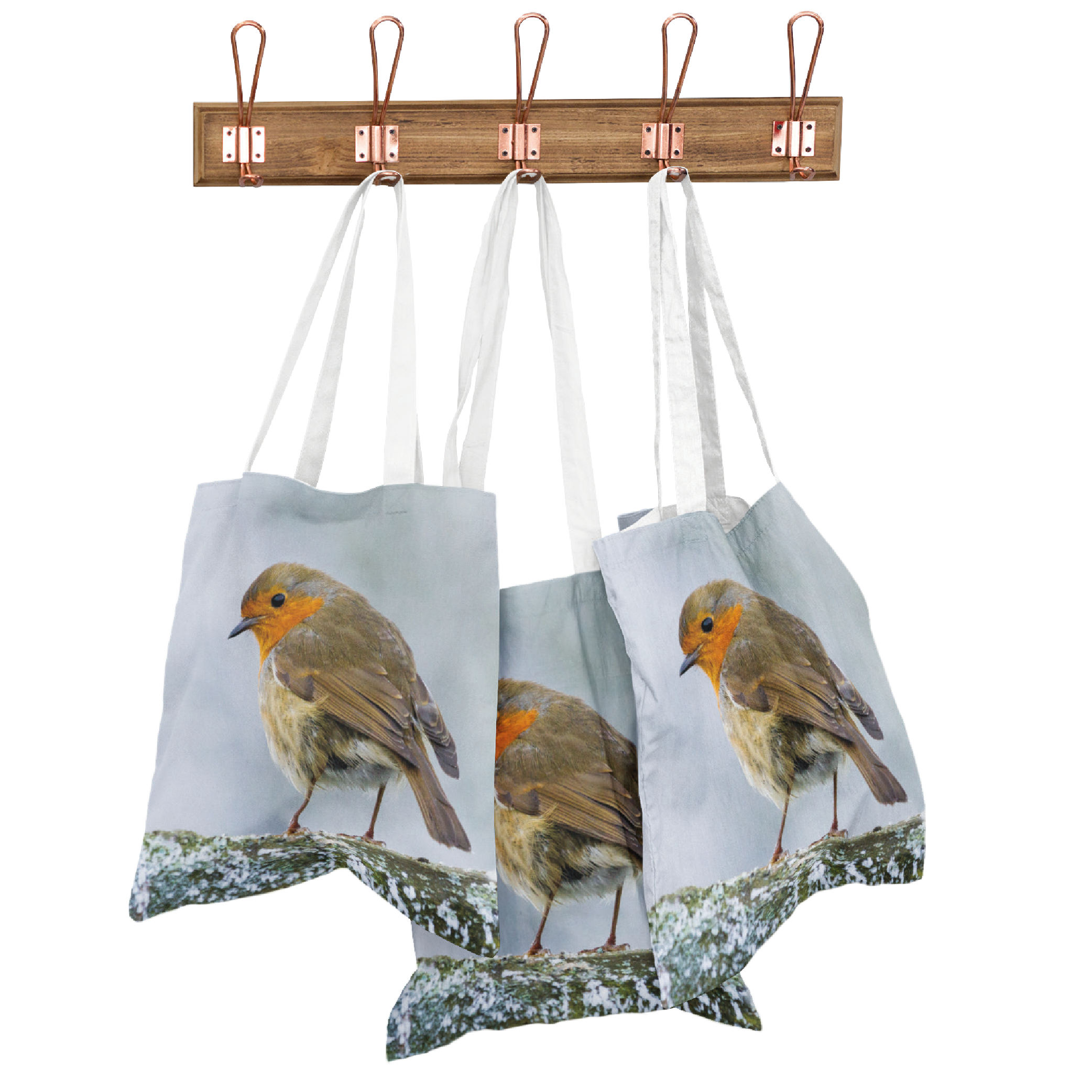 Winter Robin Wipeable Bag for Life – Garden Wildlife