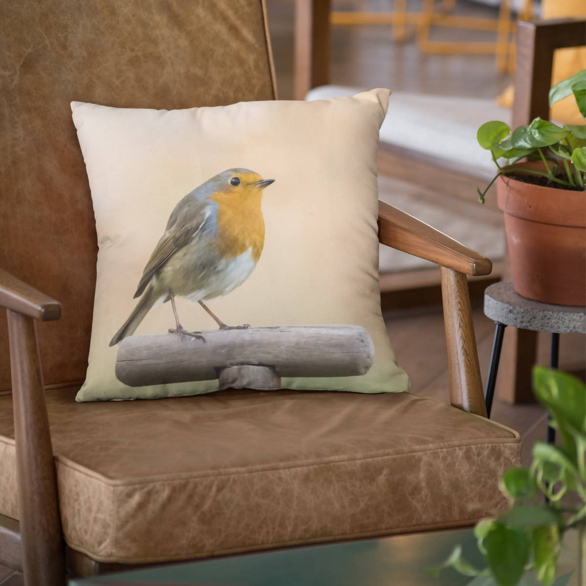Robin Cushion