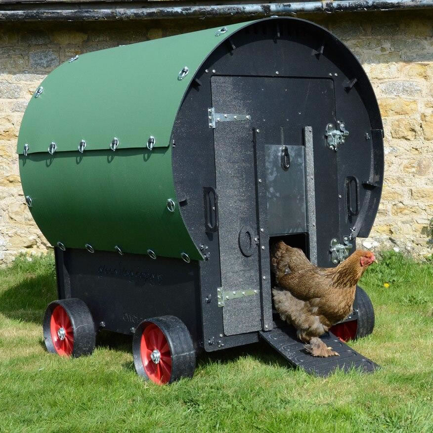 Nestera Chicken Wagon - Garden Wildlife