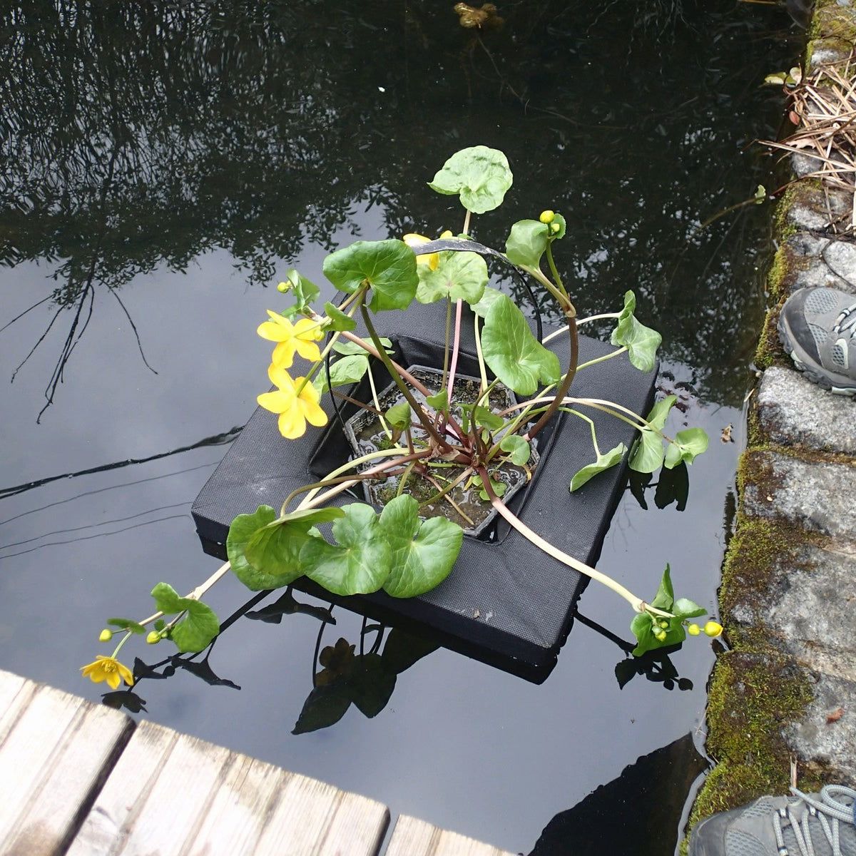Floating Basket Square | Garden Wildlife