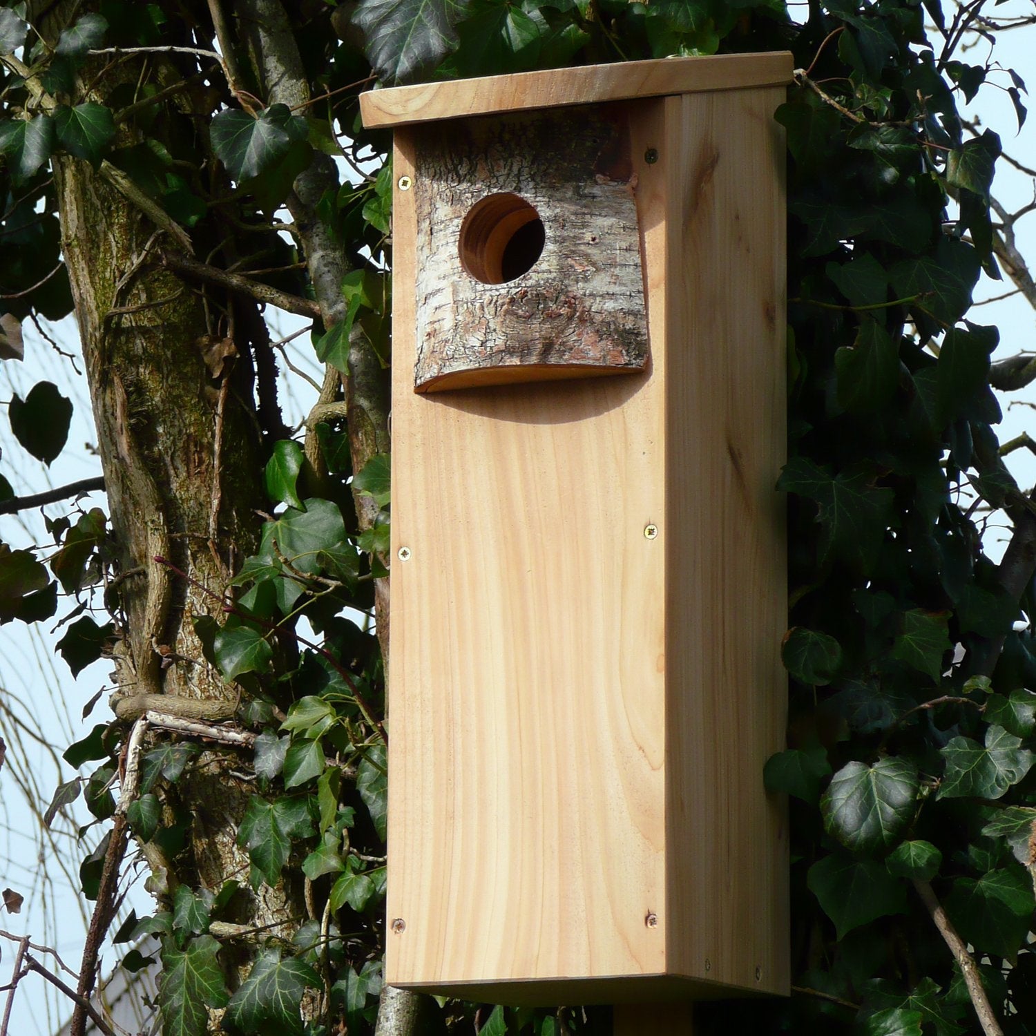 Wildlife World Woodpecker Nest Box | Garden Wildlife